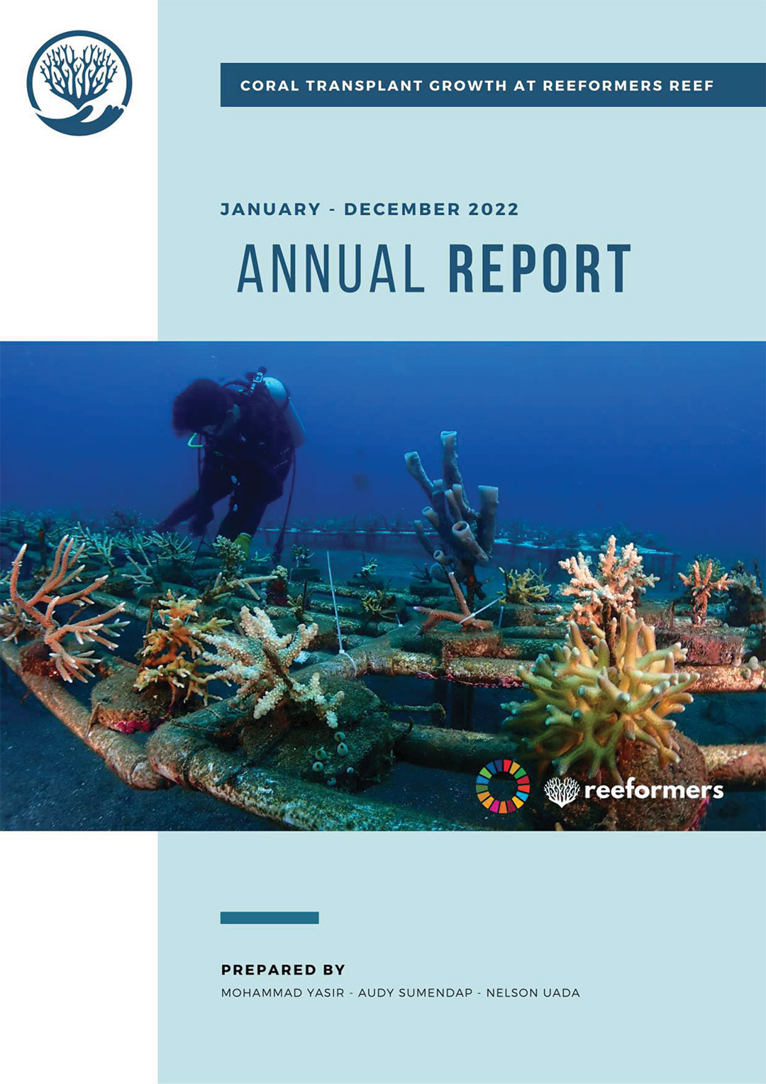Coral Growth Report - Reeformers