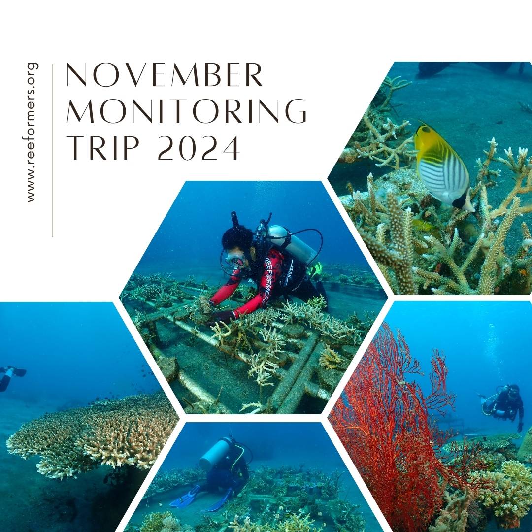 November Monitoring Trip 2024